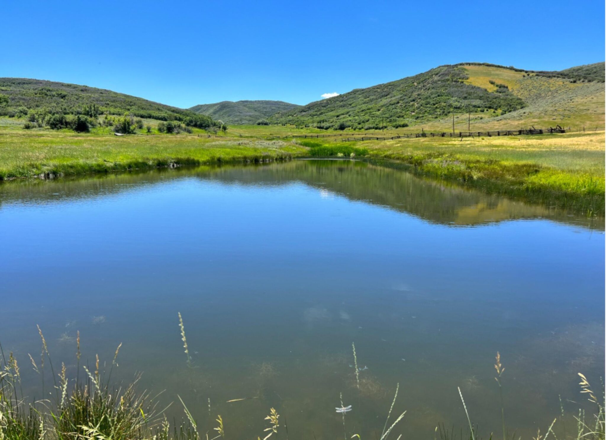 Moon Place - Permanently Protected! - Colorado Open Lands