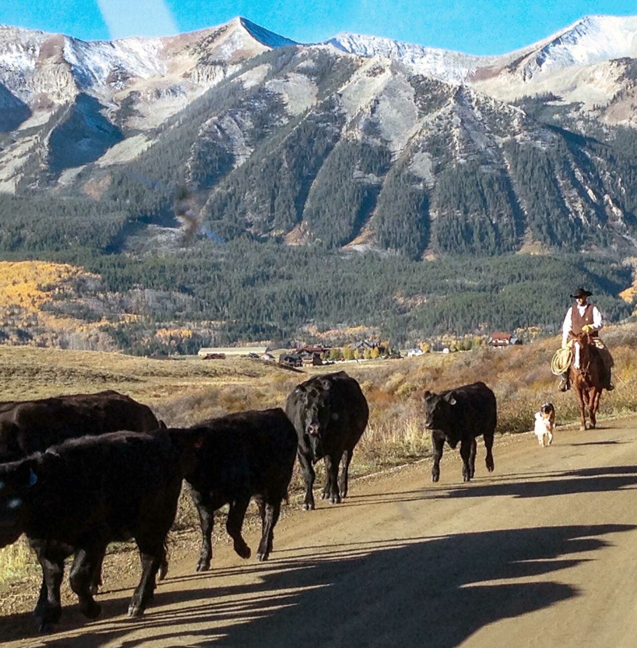 Conserving Colorado's Land