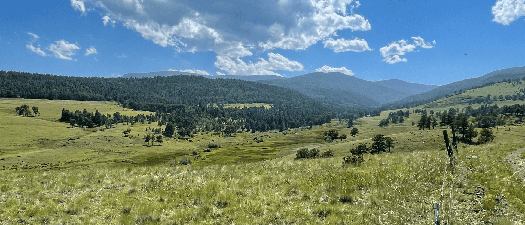 Taylor Ranch - permanently protected! - Colorado Open Lands